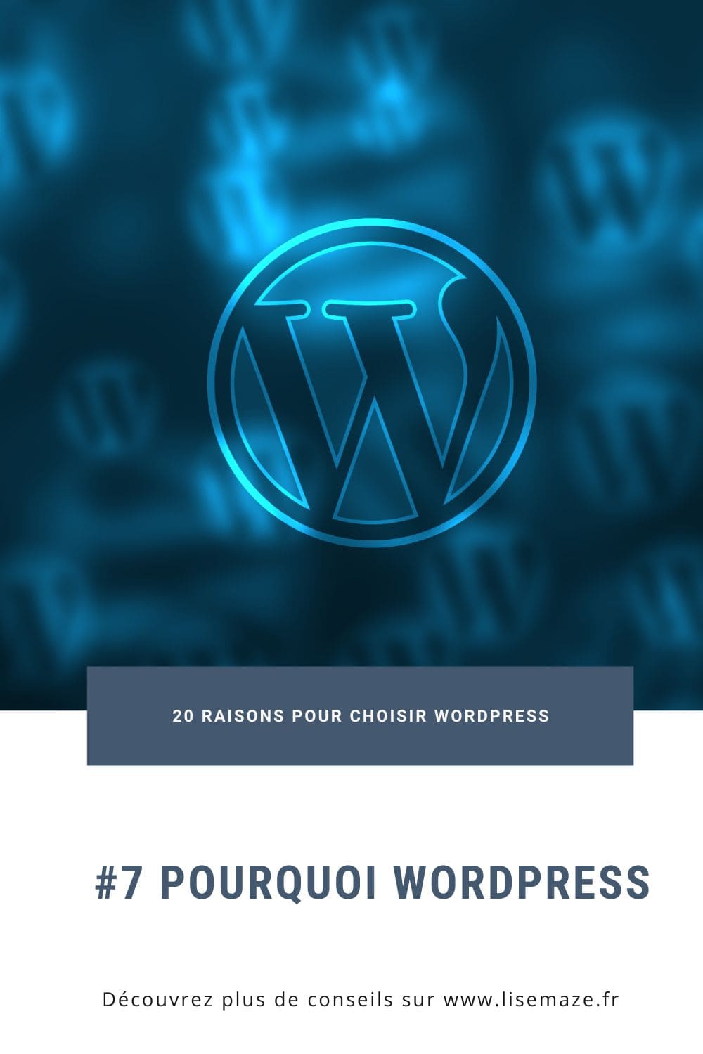 20 raisons de créer votre site avec WordPress - Lise Mazé